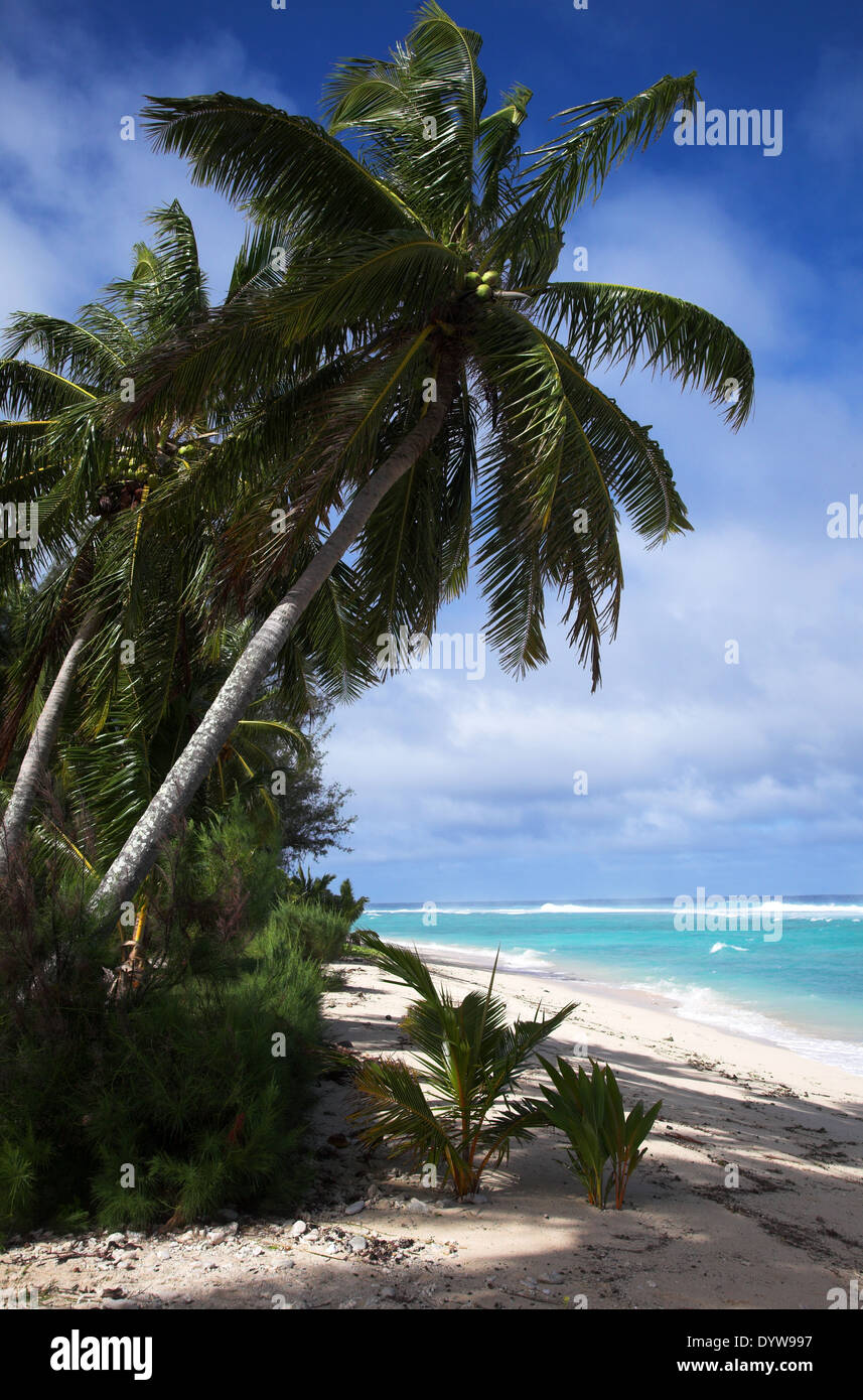 Rarotonga, Cook Islands Stock Photo - Alamy