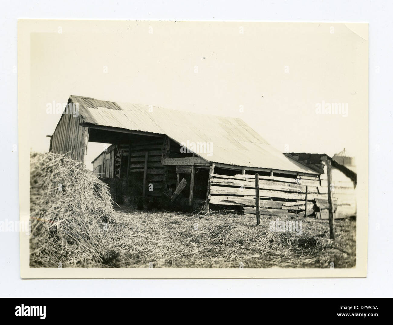 This image features Fannie Ratchford in 1970, showcasing a portrait ...