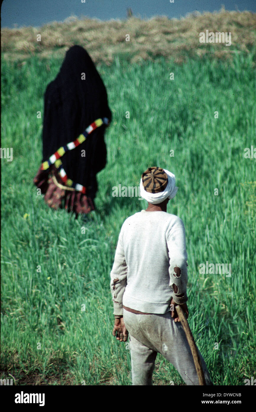 upper nile river delta, egypt -- a man and woman in the fields in the ...