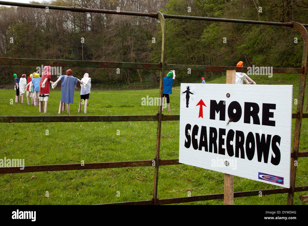 'More Scarecrows' at the Wray Scarecrow Festival which opens on ...