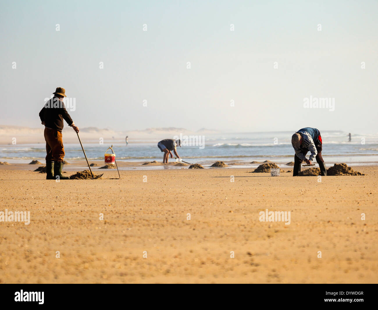 Bait digging hi-res stock photography and images - Alamy