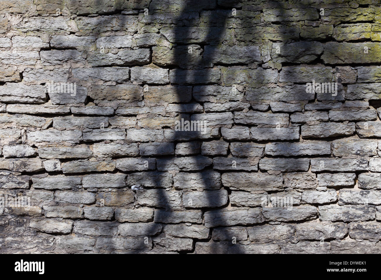 Texture of old stone hi-res stock photography and images - Alamy