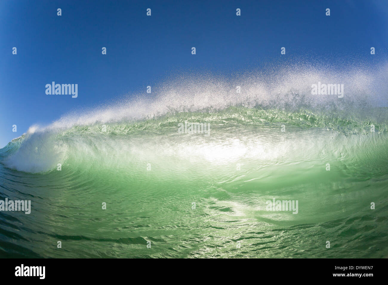 Ocean Wave swimming inside closeup encounter crashing water power Stock ...