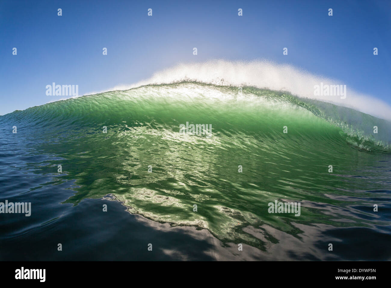 Ocean Wave swimming inside closeup encounter crashing water power Stock ...