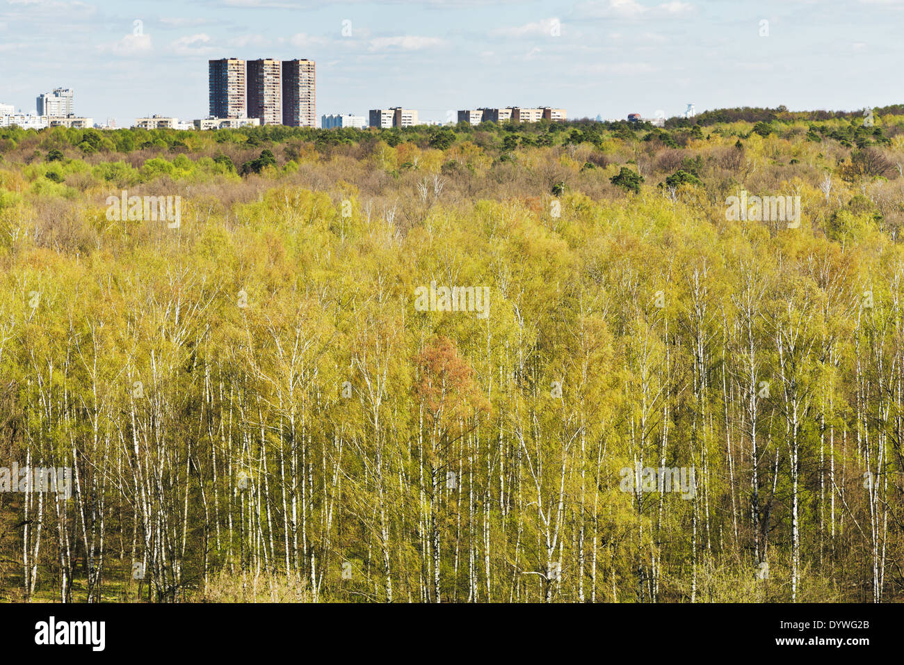 green spring forest and apartment houses on horizon Stock Photo - Alamy