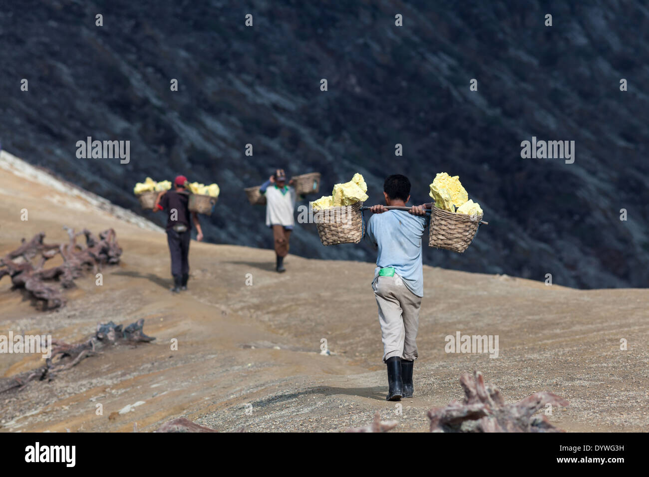 Men carrying baskets laden with blocks of sulfur, rim of Kawah Ijen ...