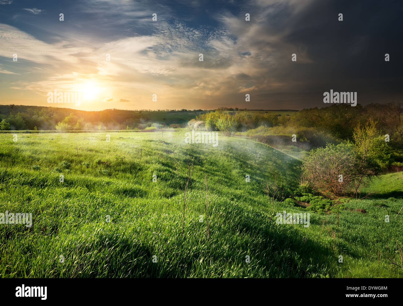 Mist over field hi-res stock photography and images - Alamy