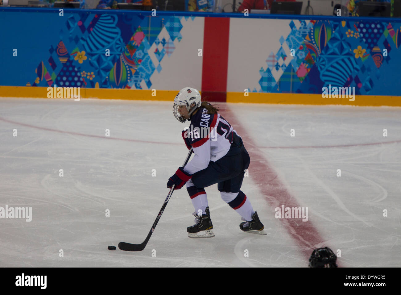 Carpenter usa hi-res stock photography and images - Alamy