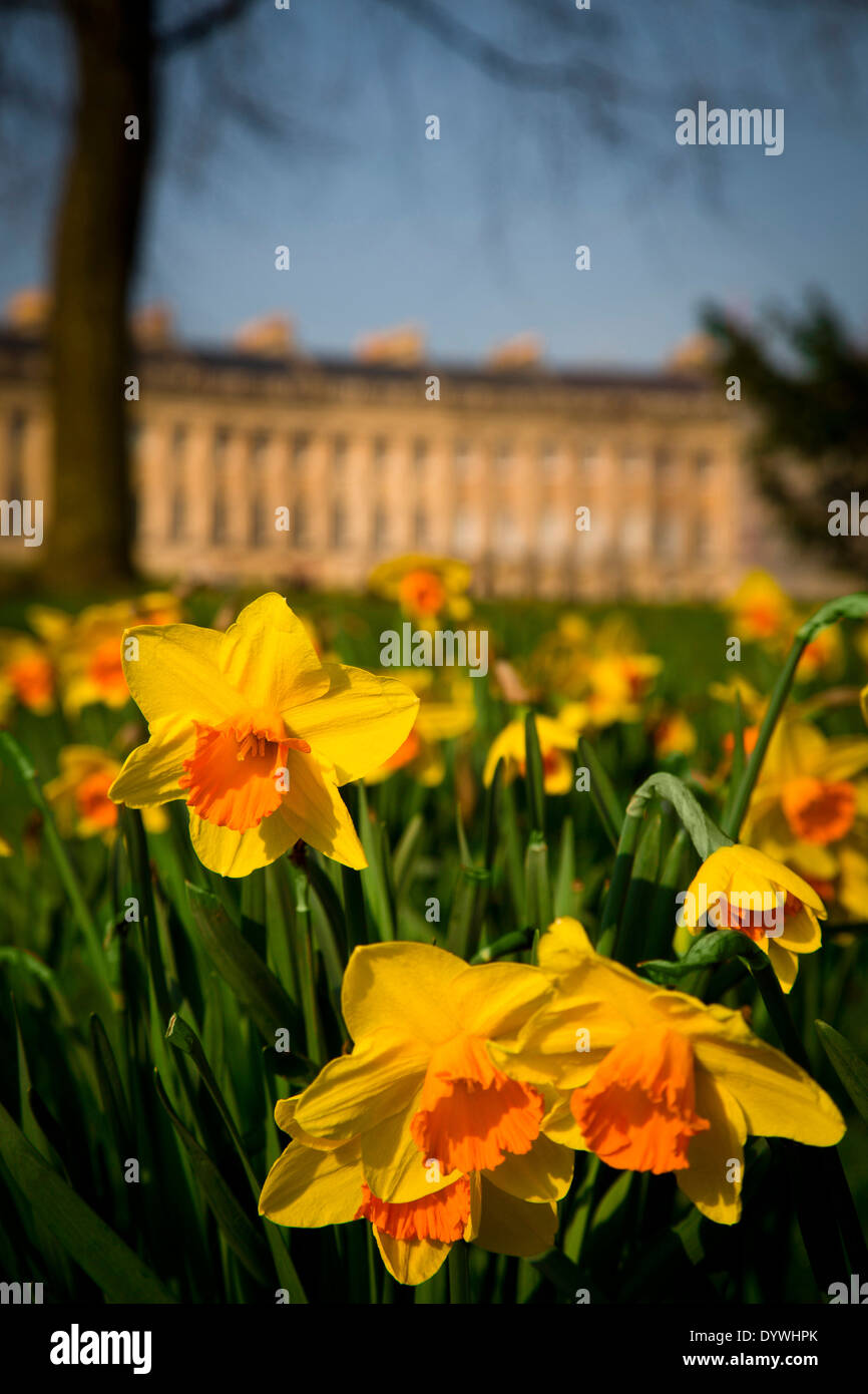 Historic royal crescent hi-res stock photography and images - Alamy