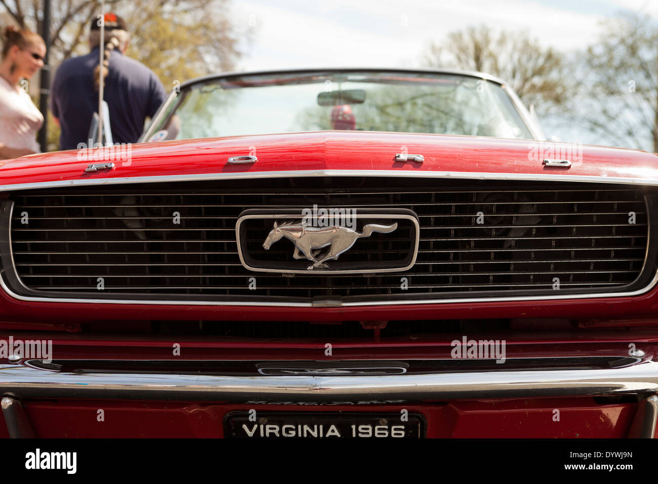1966 Ford Mustang front grille Stock Photo: 68790001 - Alamy