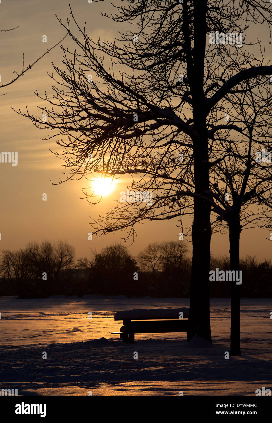 Winterly plant hi-res stock photography and images - Alamy