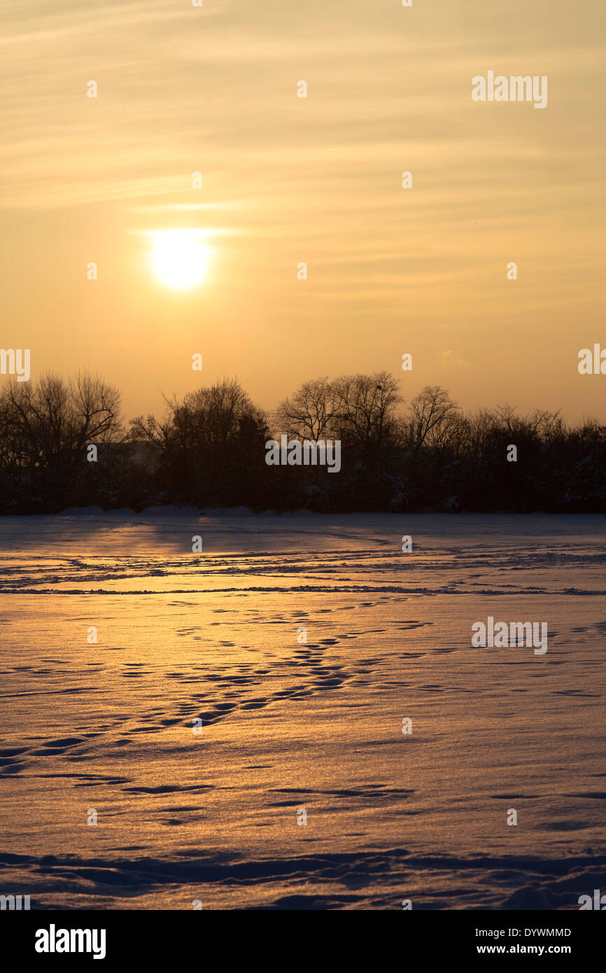 Sunset vienna hi-res stock photography and images - Alamy