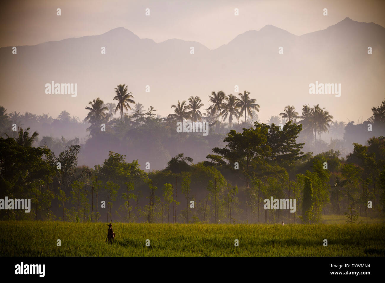 Volcano rinjani on island hi-res stock photography and images - Alamy