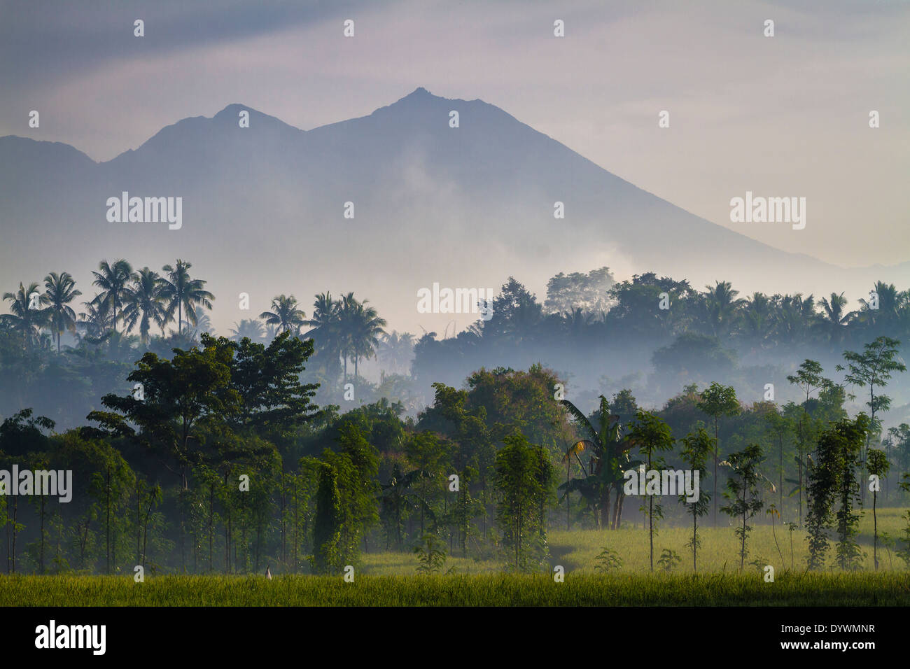 View on Rinjani volcano in Lombok island, Indonesia Stock Photo - Alamy
