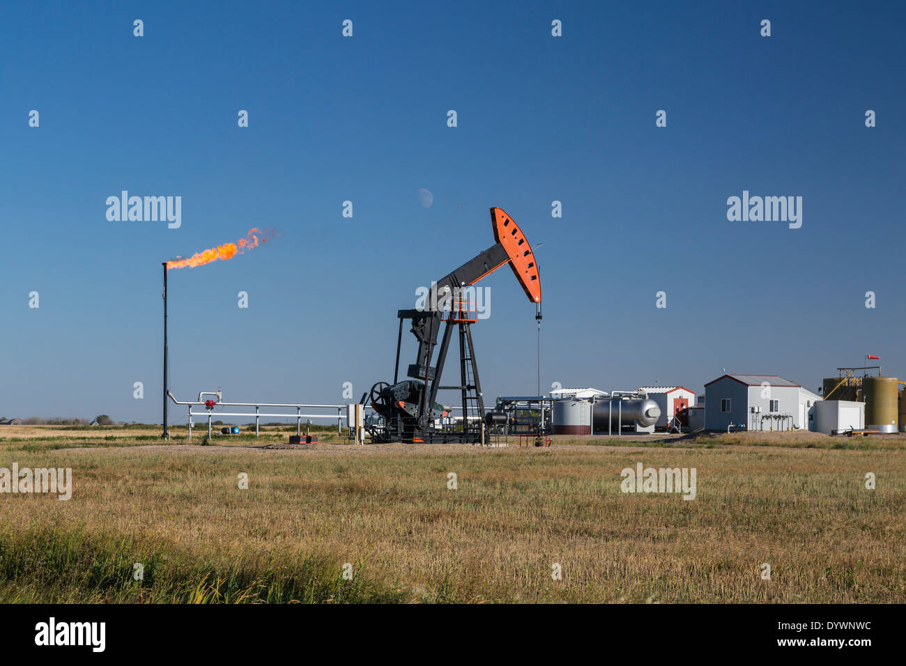 An oil production pumper and flaring gas in the Bakken field near ...