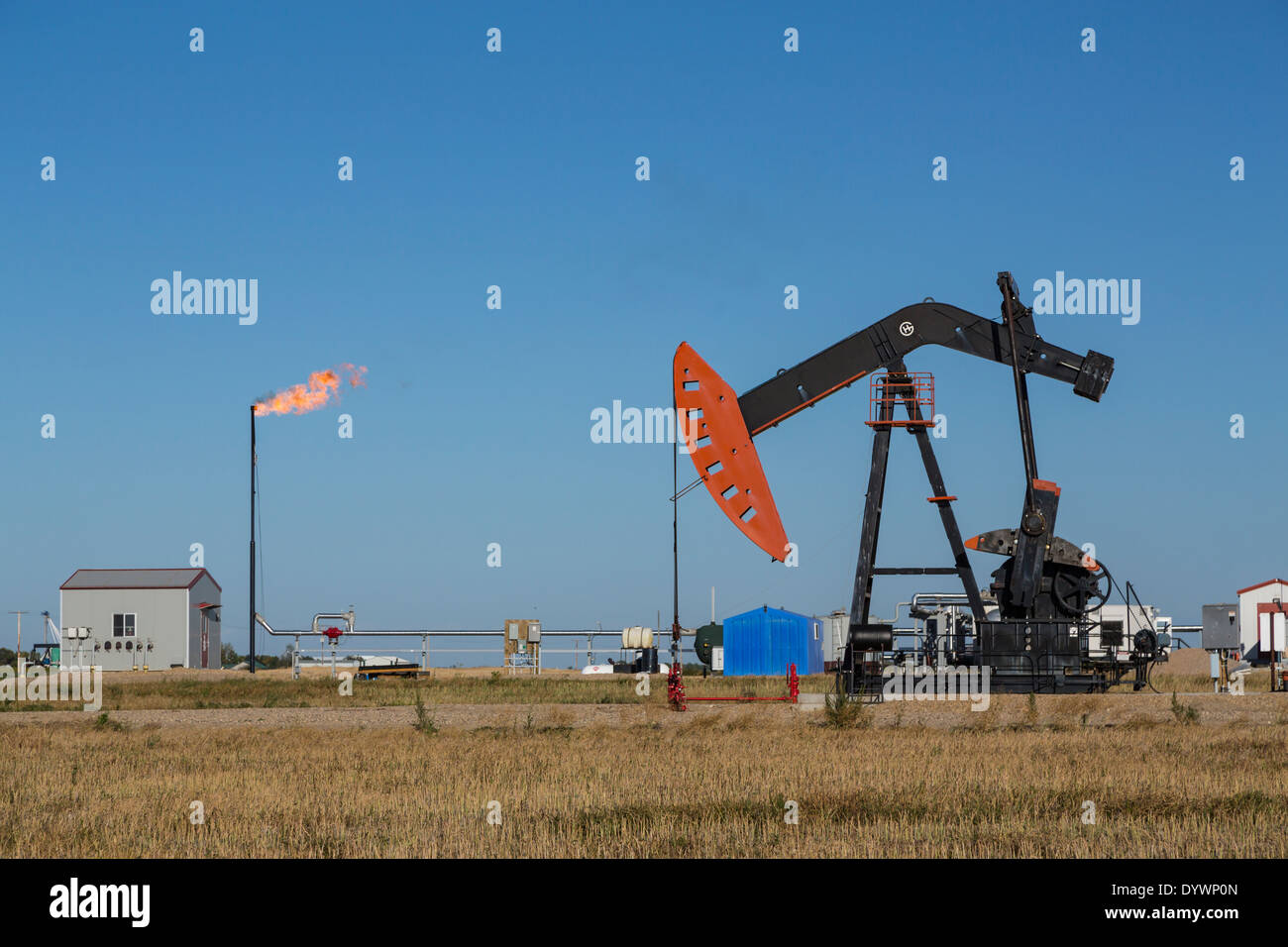 An oil production pumper and flaring gas in the Bakken field near ...