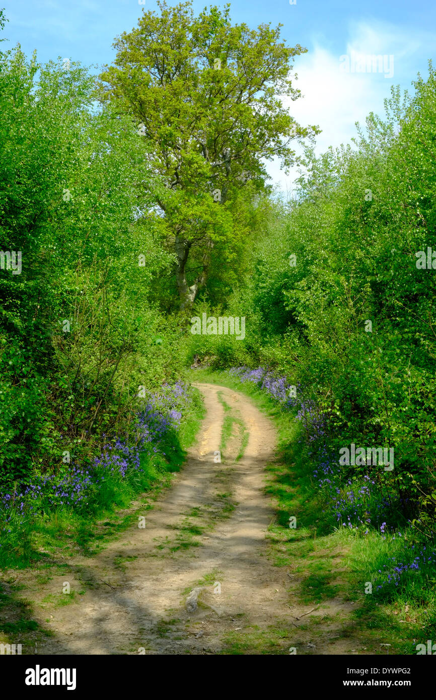Uk spring path footpath track hi-res stock photography and images - Alamy
