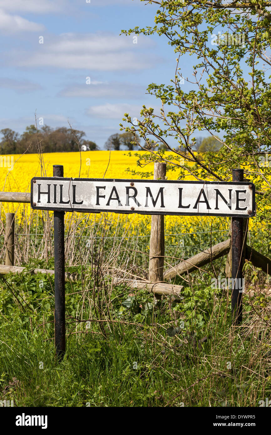 Uk farm lane hi-res stock photography and images - Alamy