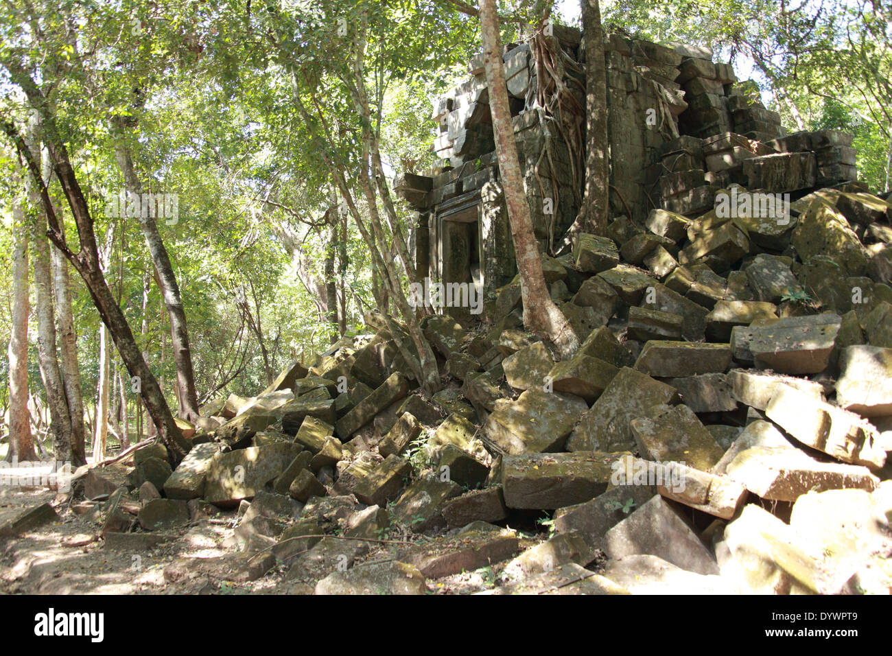 beng melea temple, Cambodia Stock Photo - Alamy