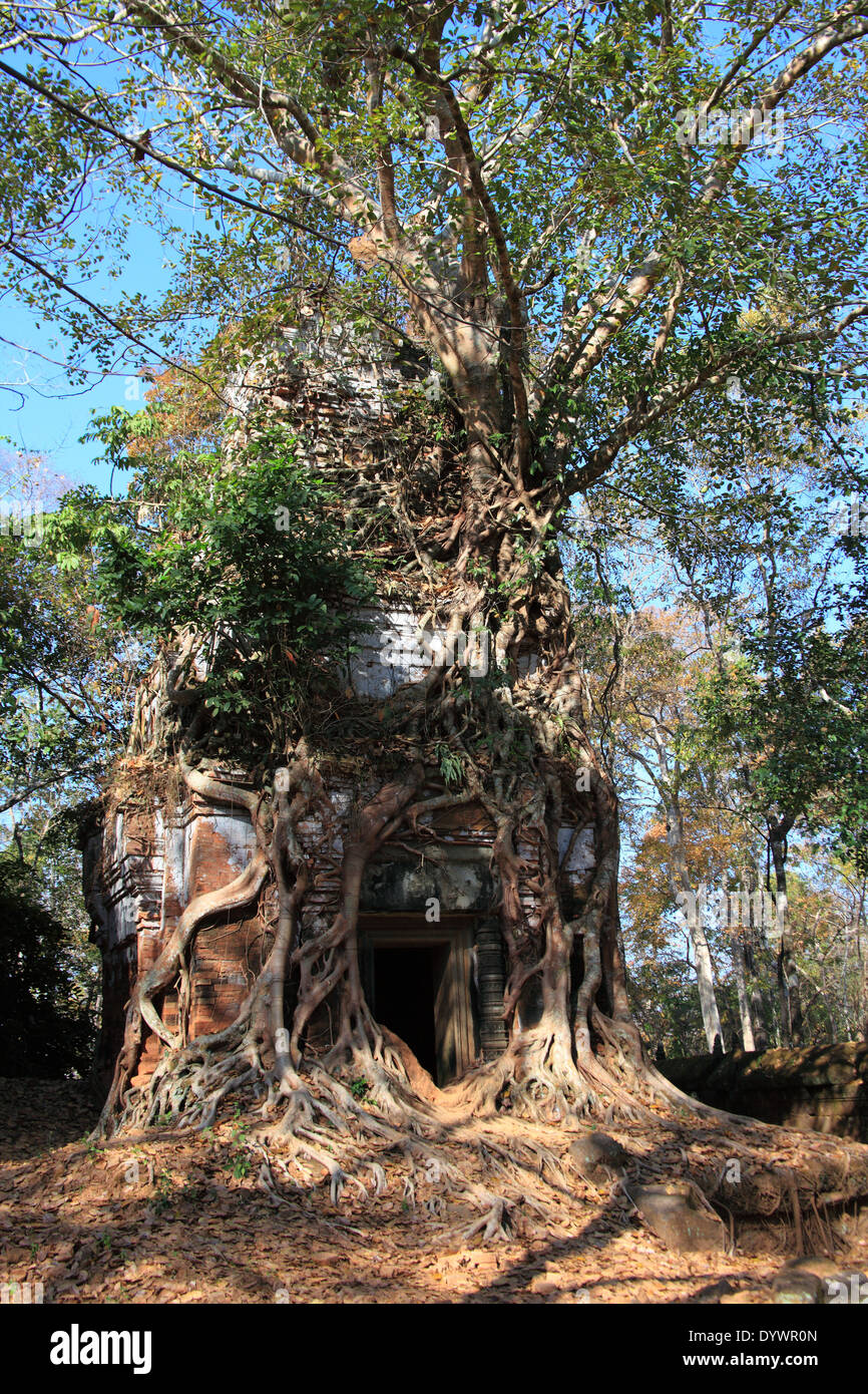Koh Ker temple, Cambodia Stock Photo - Alamy
