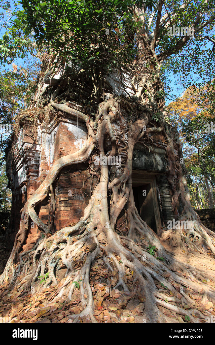Koh Ker temple, Cambodia Stock Photo - Alamy