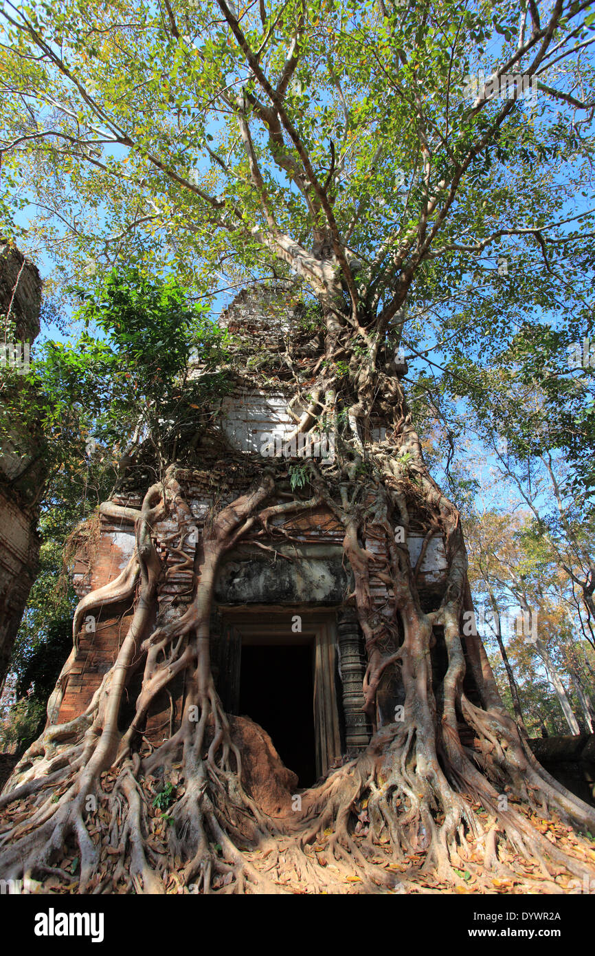 Koh Ker temple, Cambodia Stock Photo - Alamy