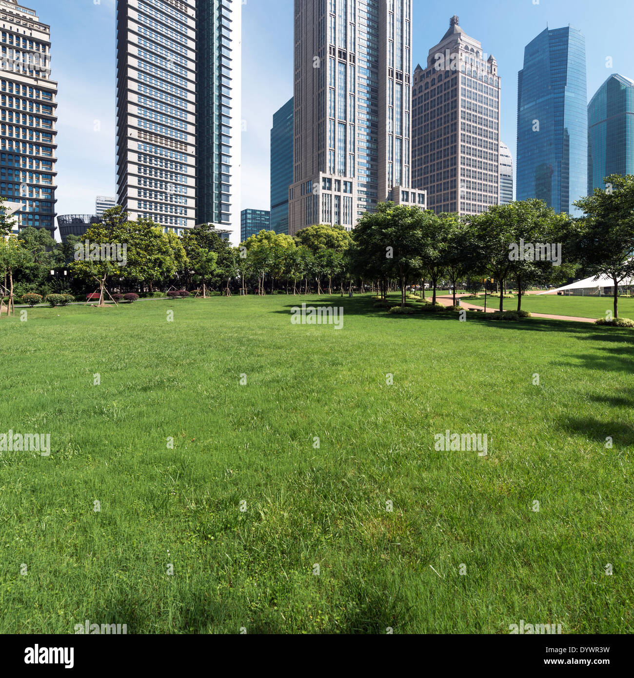 The grass and the city in shanghai,china Stock Photo - Alamy