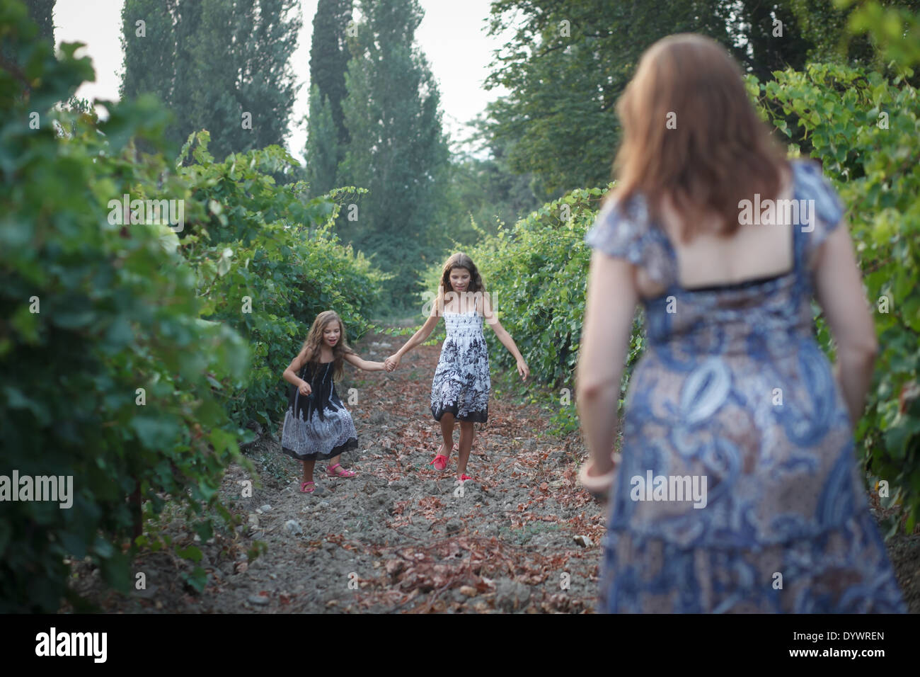 beautiful girls in fall vineyard Stock Photo - Alamy