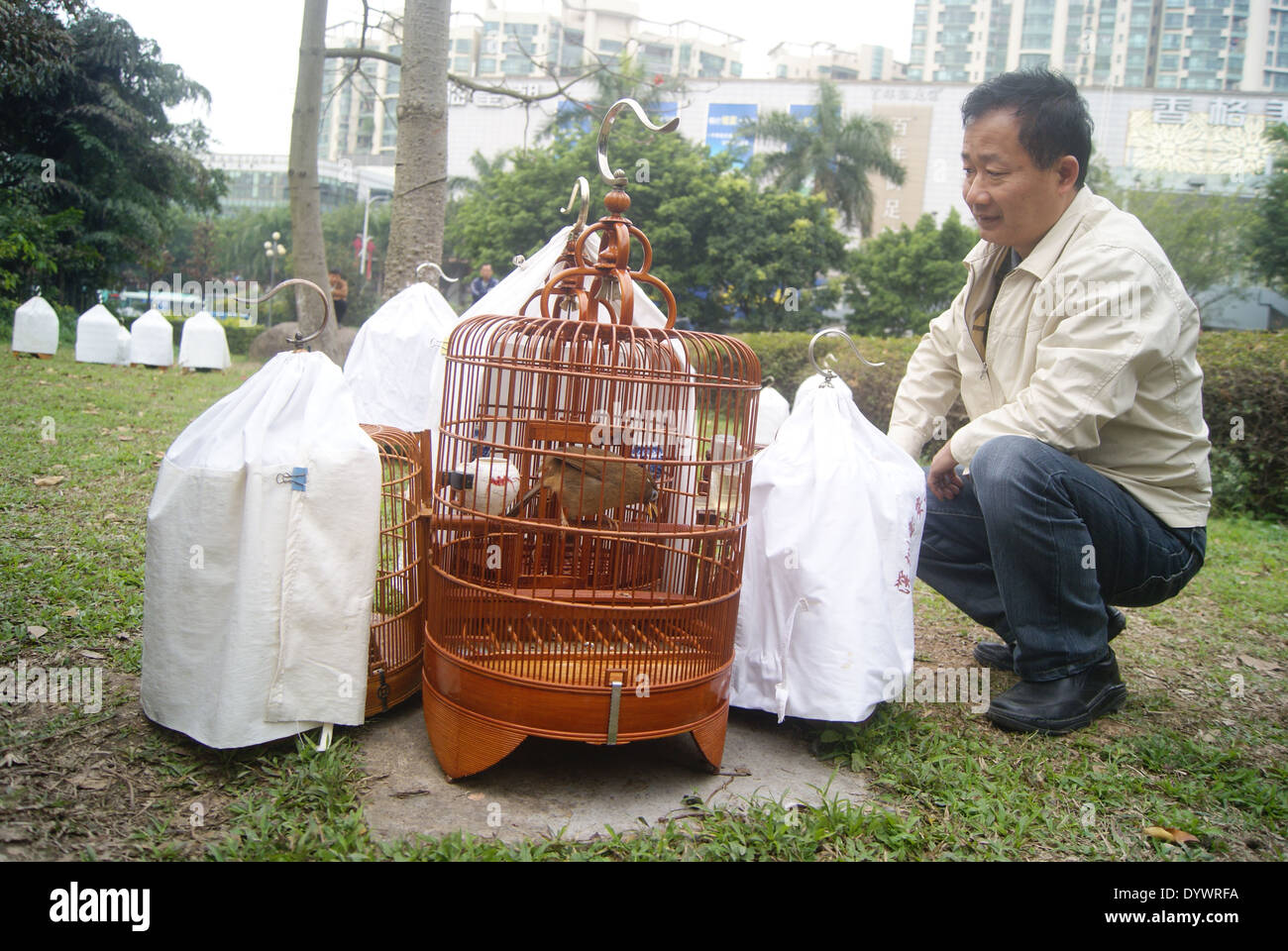 People watch birds Stock Photo - Alamy