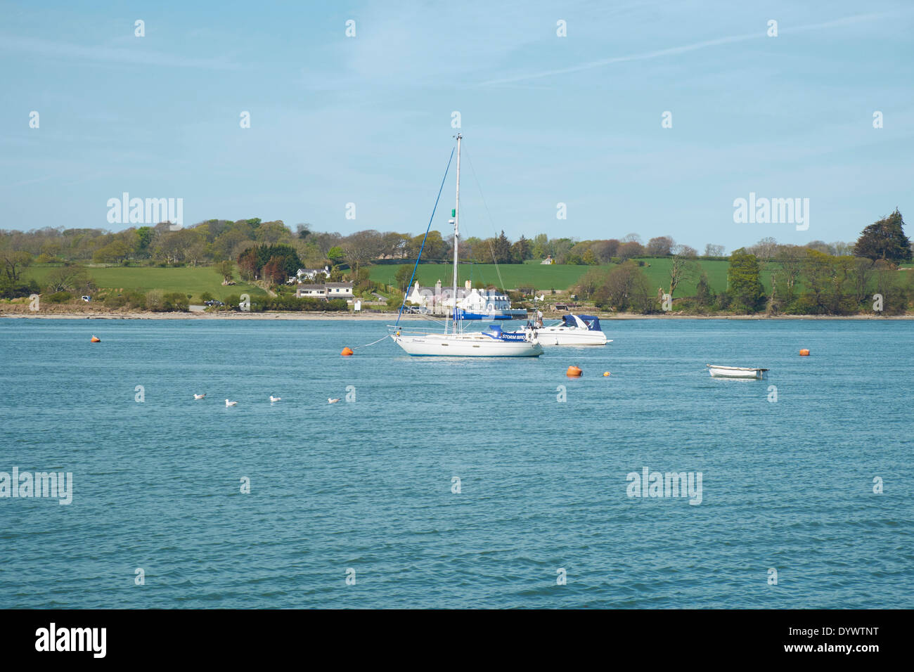 Menai straits , anglesey hi-res stock photography and images - Alamy