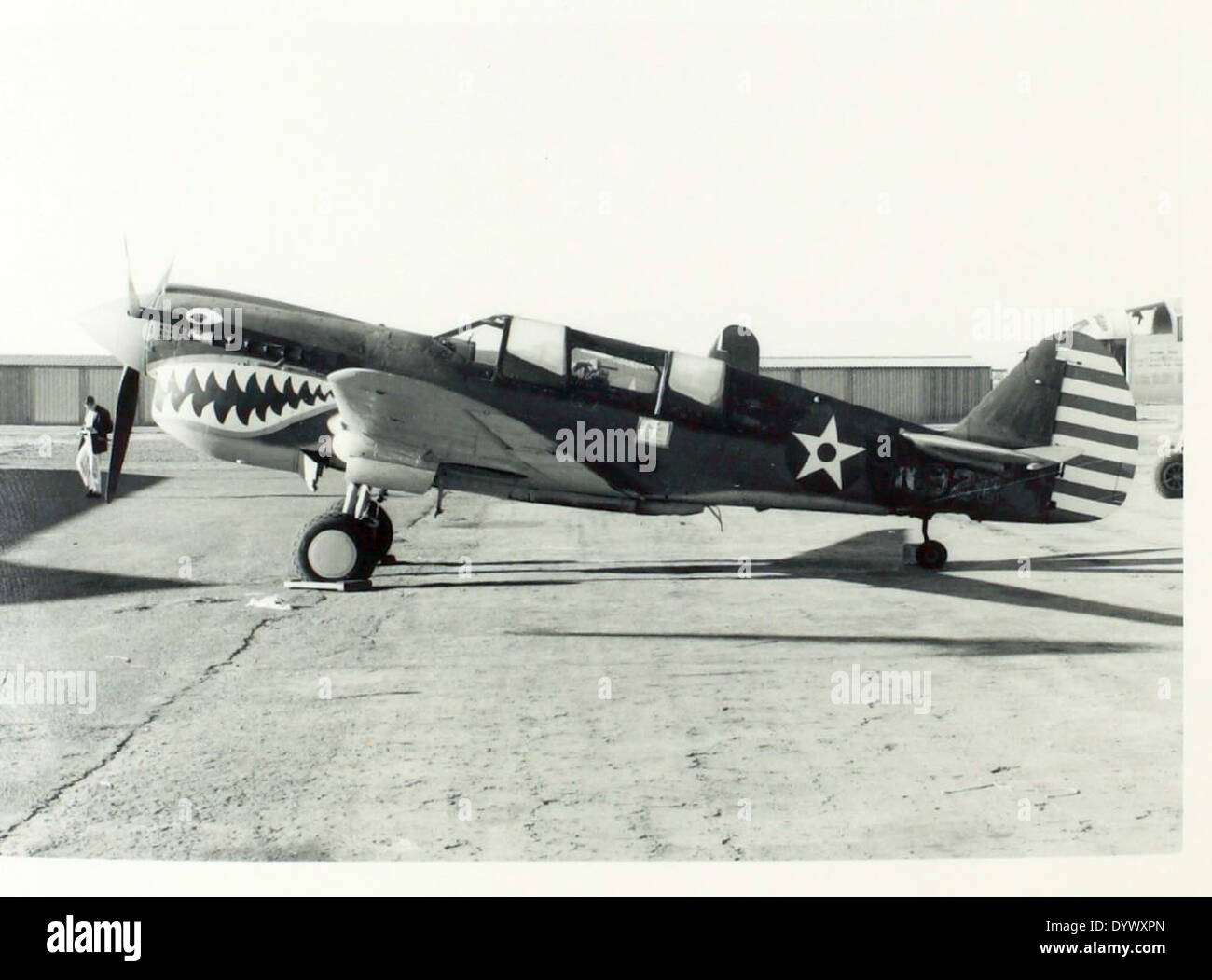 Tp 40n warhawk hi-res stock photography and images - Alamy