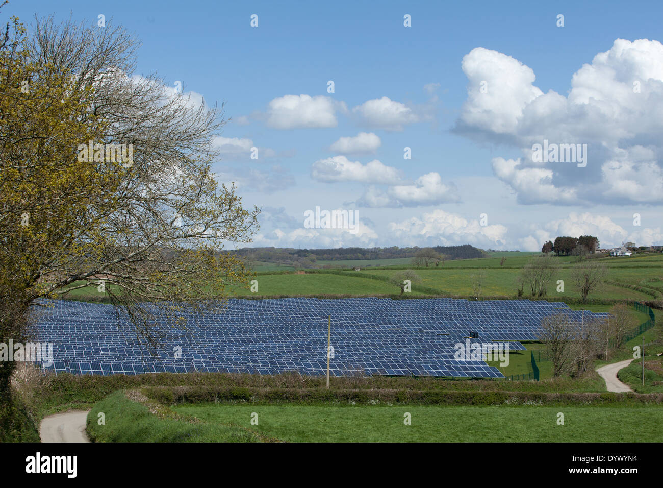 A new large Solar Farm in Cornwall Stock Photo - Alamy