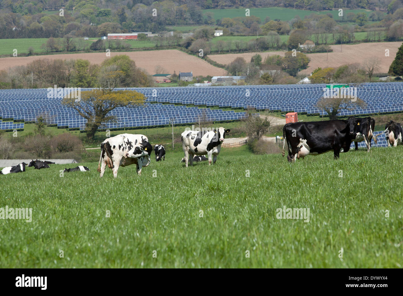 The Solar Panels at Langunnett Farm near Lerryn Cornwall on a spring ...