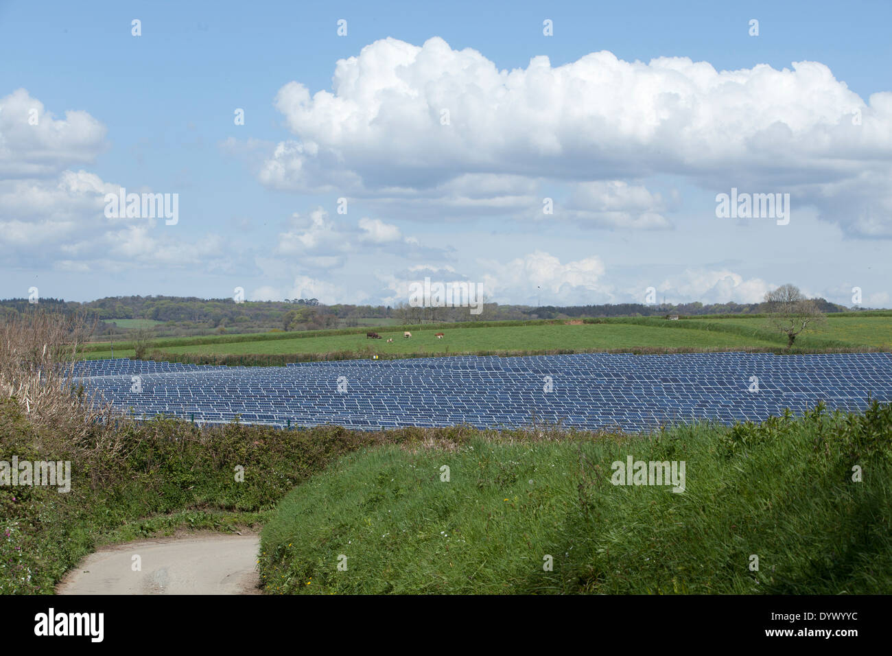 A new large Solar Farm in Cornwall Stock Photo - Alamy