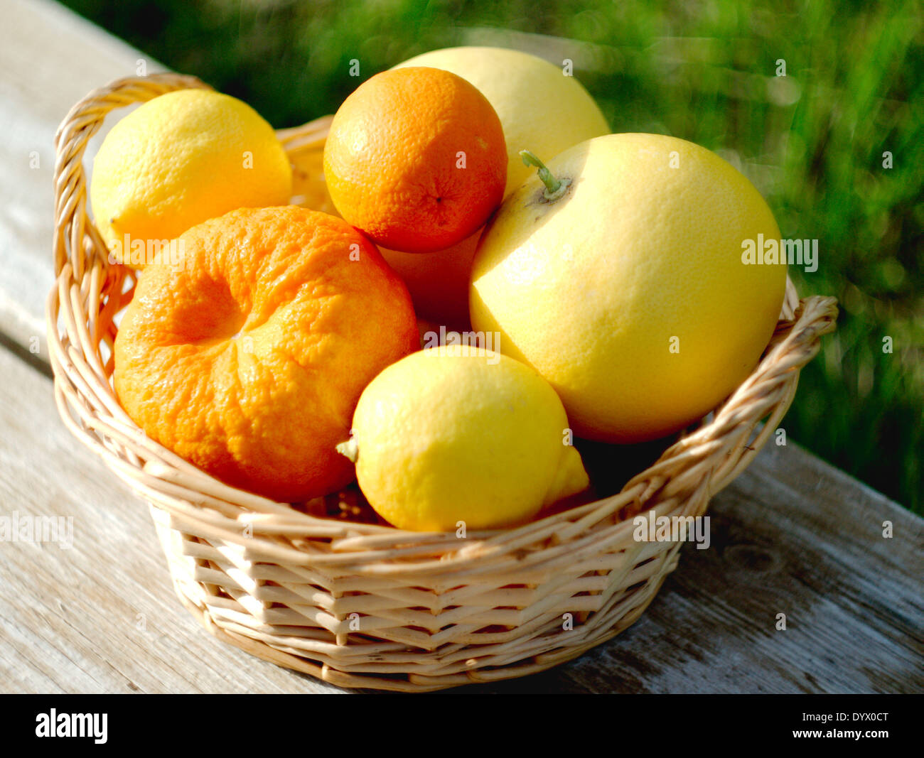 Fruit, freshly collected from the trees in wicker basket Stock Photo ...