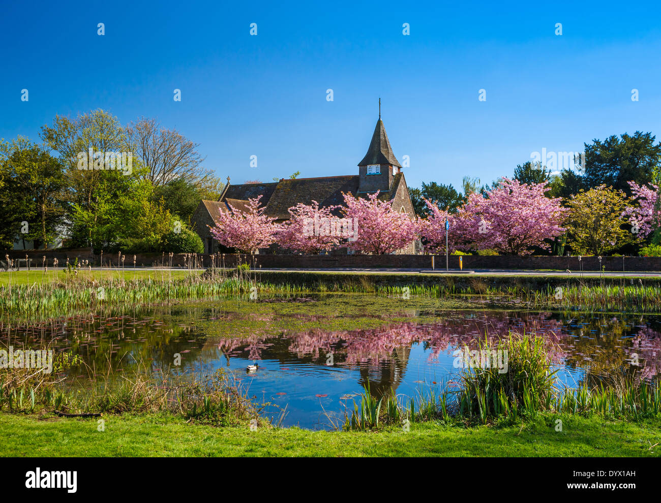 Buckland village hi-res stock photography and images - Alamy