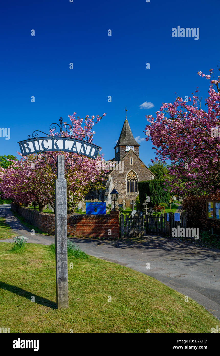 Buckland village hi-res stock photography and images - Alamy
