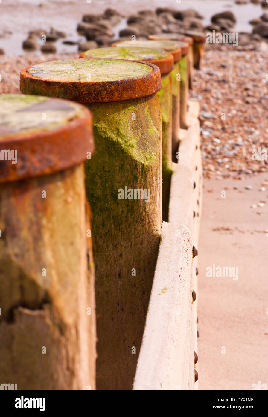 Wooden Beach Groynes UK (Narrow depth of field , focus on 2nd Piling ...