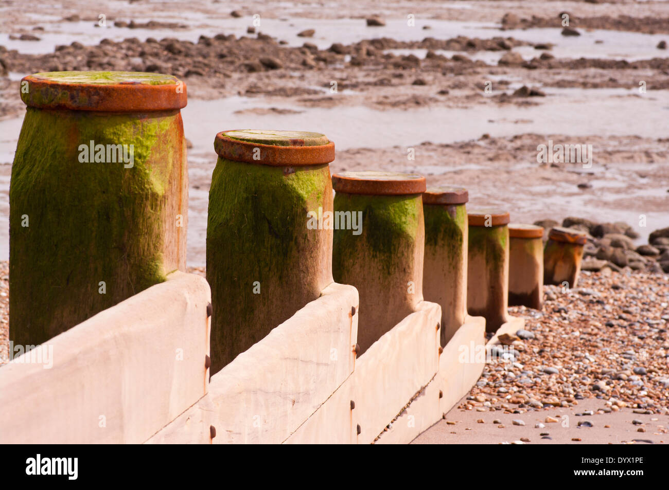 Wooden groynes groyne hi-res stock photography and images - Alamy