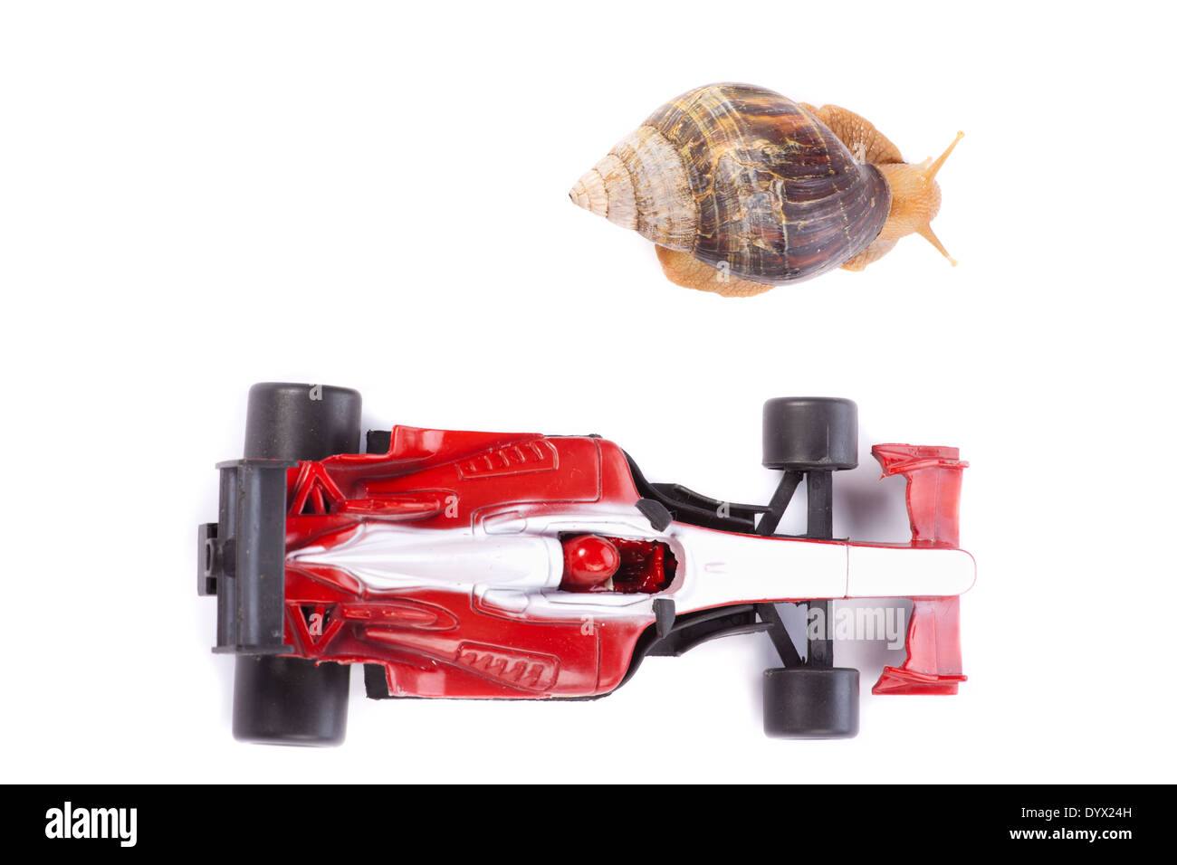 A Snail and an F1 toy car ready to race seen from above Stock Photo - Alamy