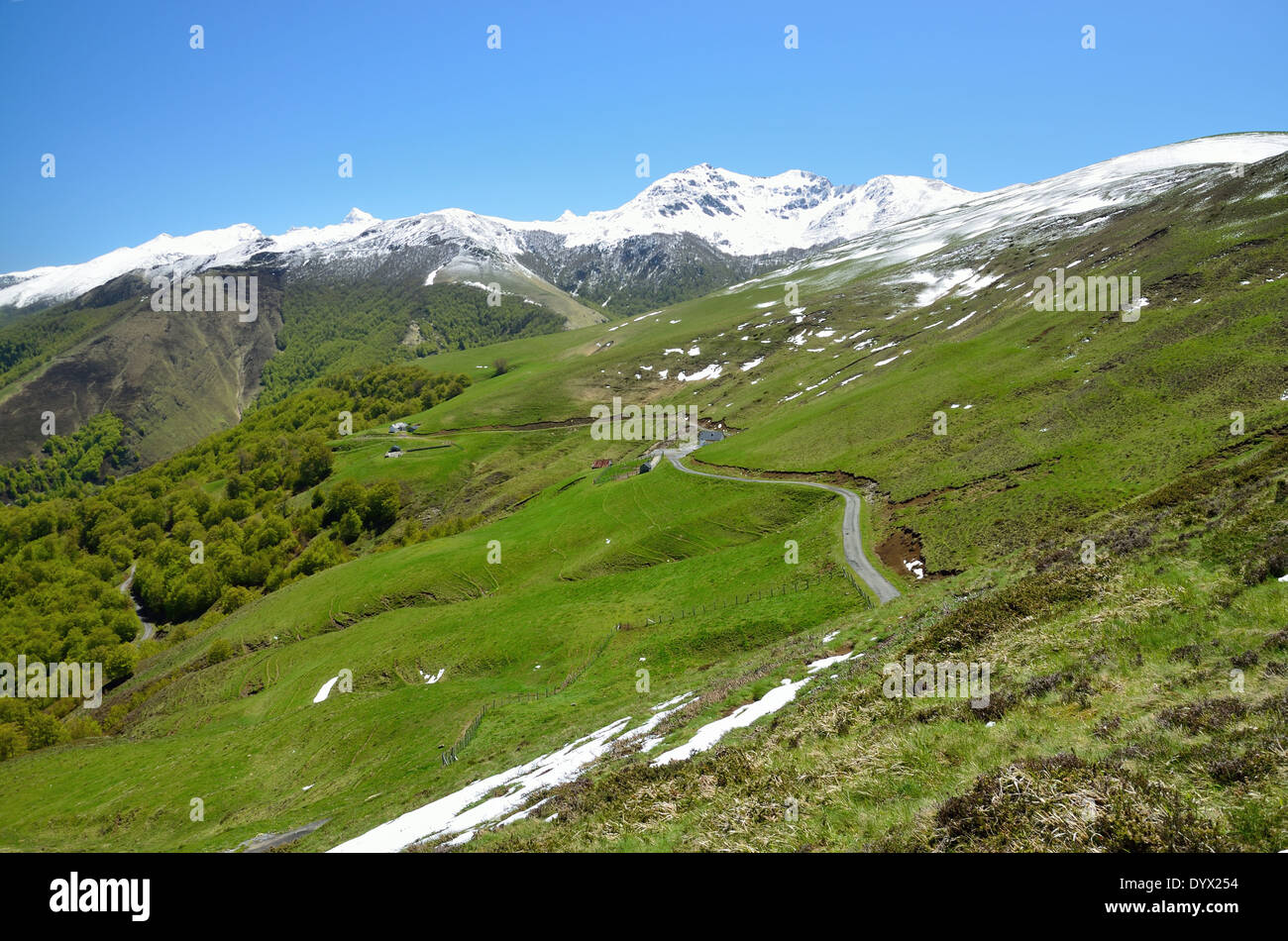 Green slopes of the spring Pyrenees Stock Photo - Alamy