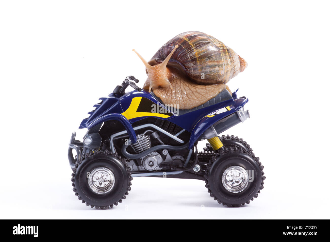 Fast camera movement Cut Out Stock Images & Pictures - Alamy