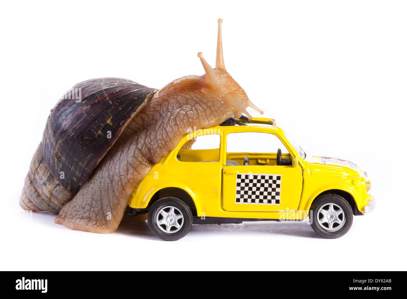 Humour car Cut Out Stock Images & Pictures - Alamy
