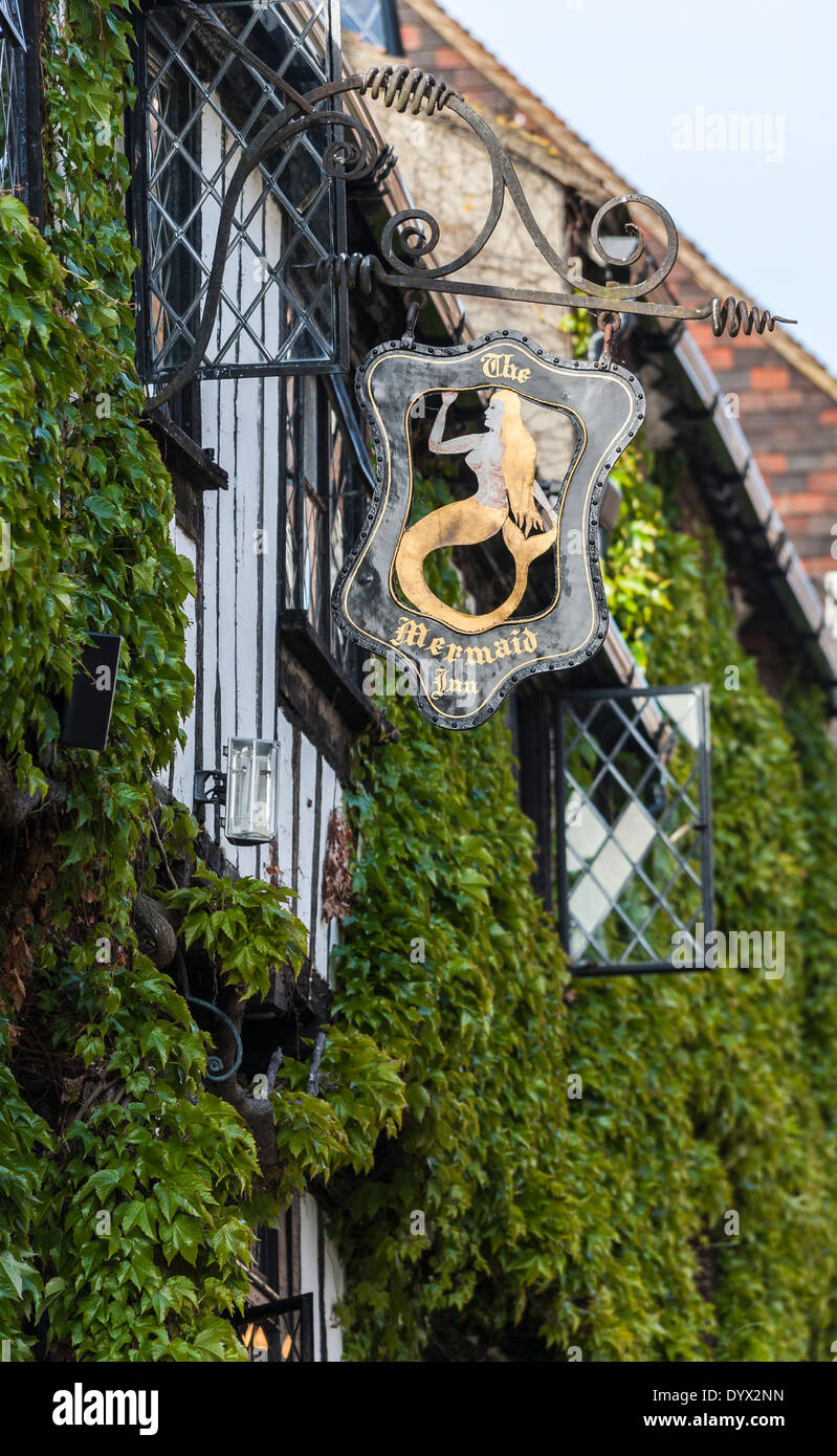 Ivy Clad Wall High Resolution Stock Photography and Images - Alamy