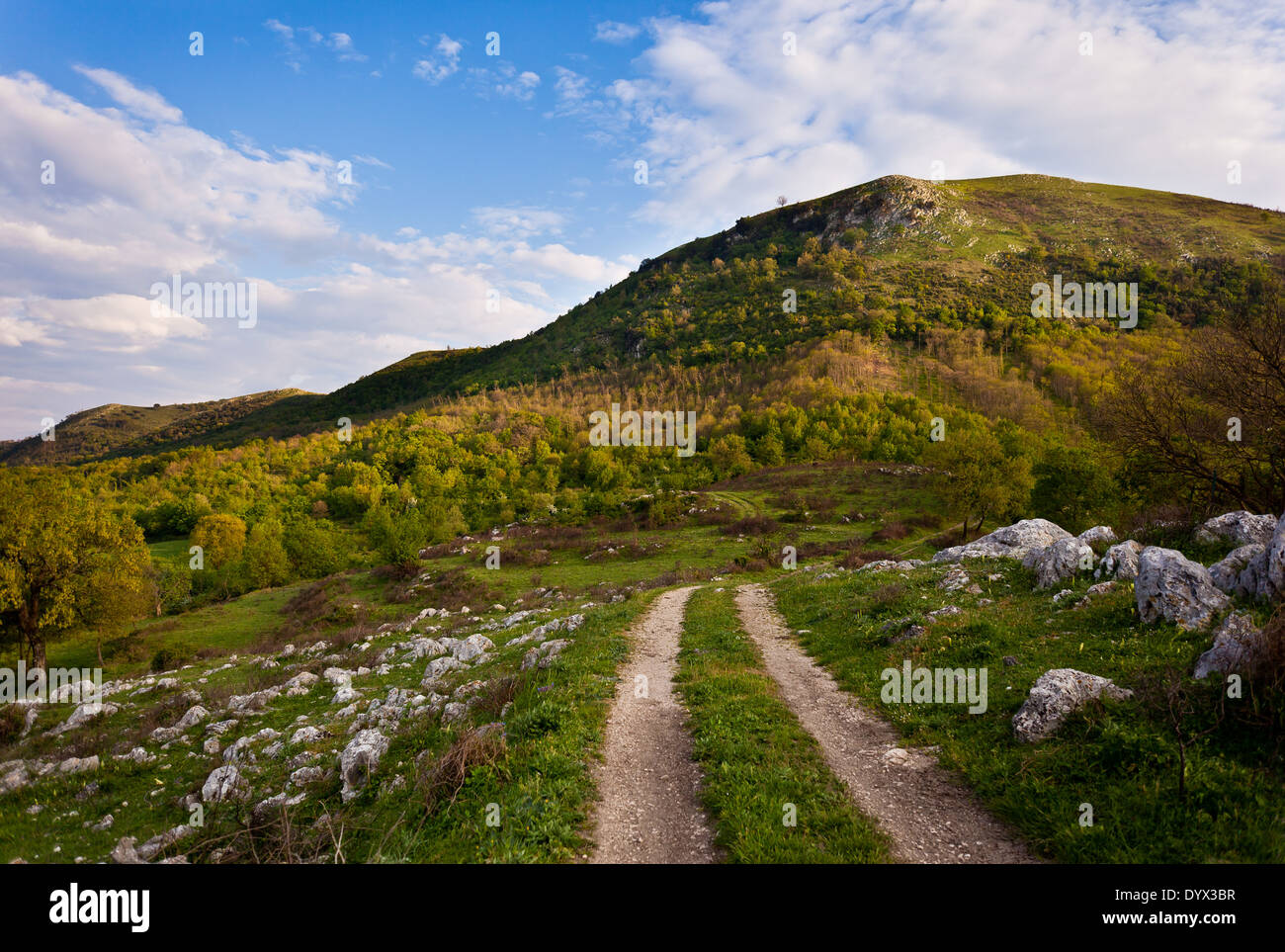 Blue mountain footpath hi-res stock photography and images - Alamy