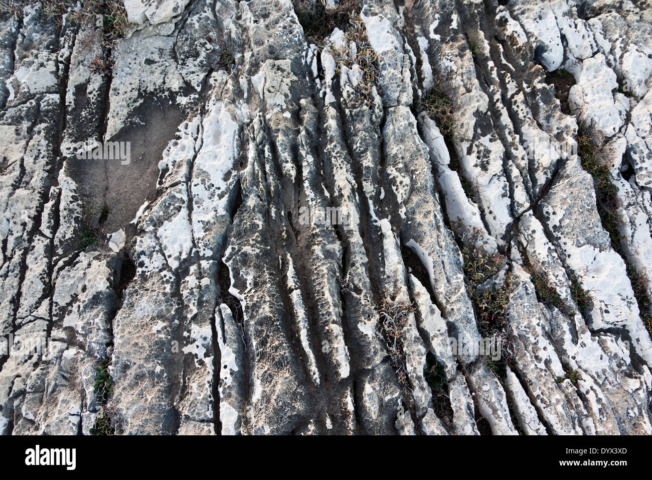 Striped Rock Stock Photos & Striped Rock Stock Images - Alamy