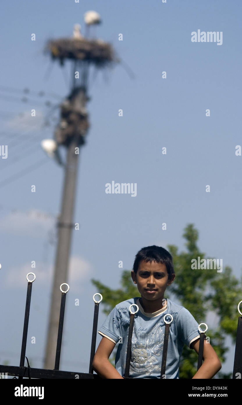 Strandja mountains Bulgaria April 26th 2014: Over 500,000 White Storks ...