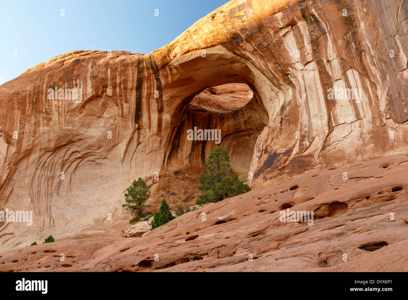 Bootlegger hi-res stock photography and images - Alamy