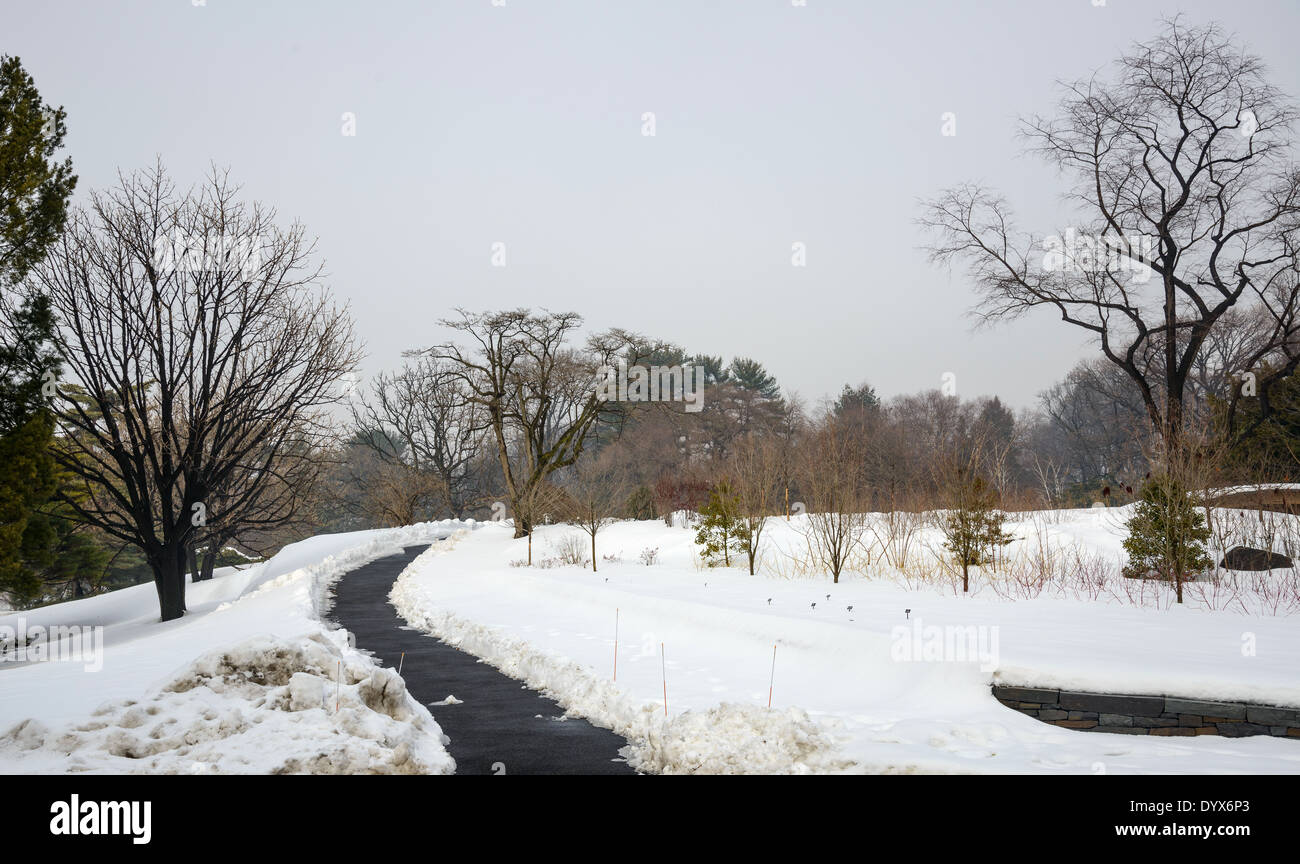 A snow clad landscape with a winding walkway and barren trees in New ...