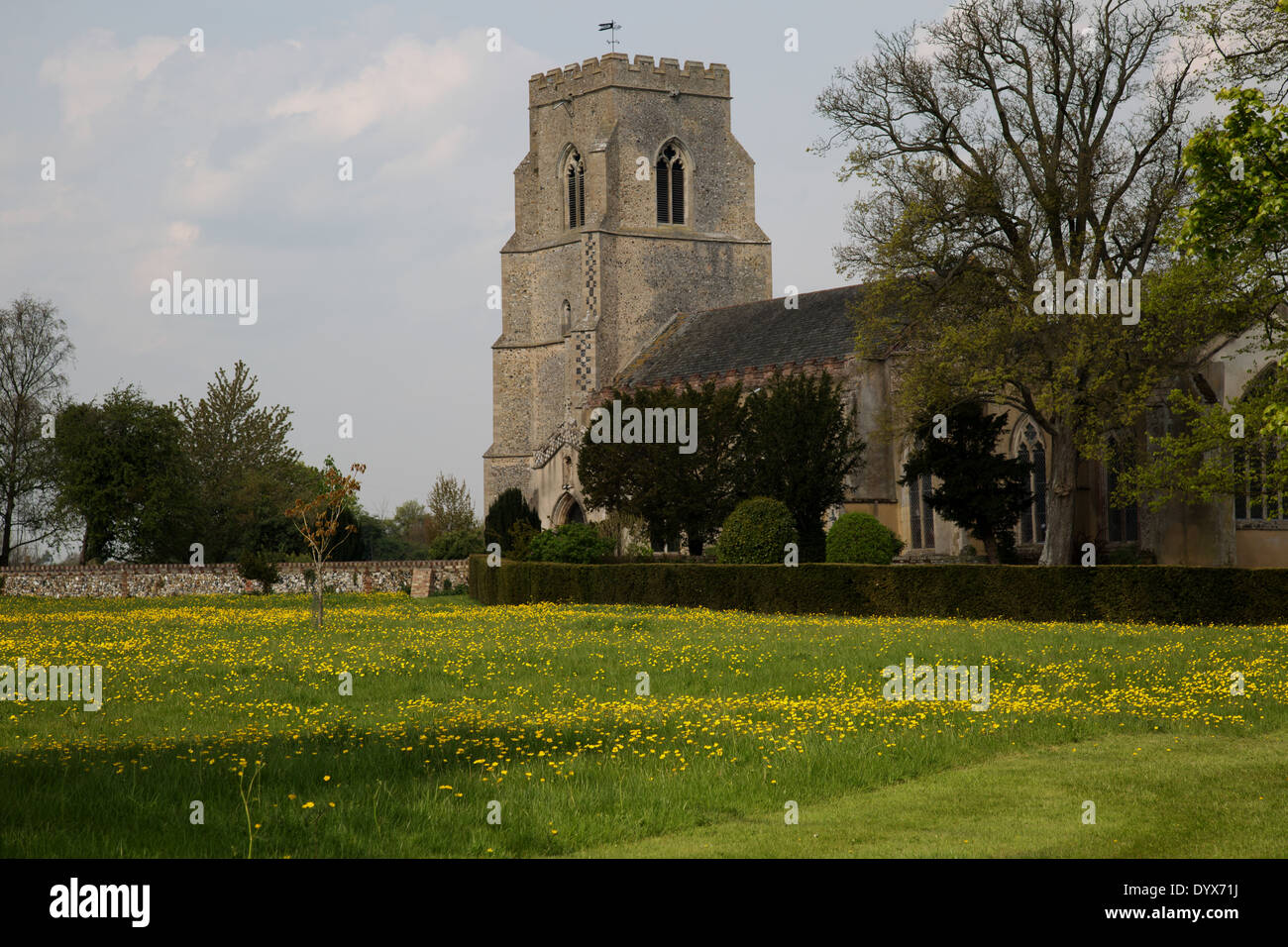 Buxhall hi-res stock photography and images - Alamy